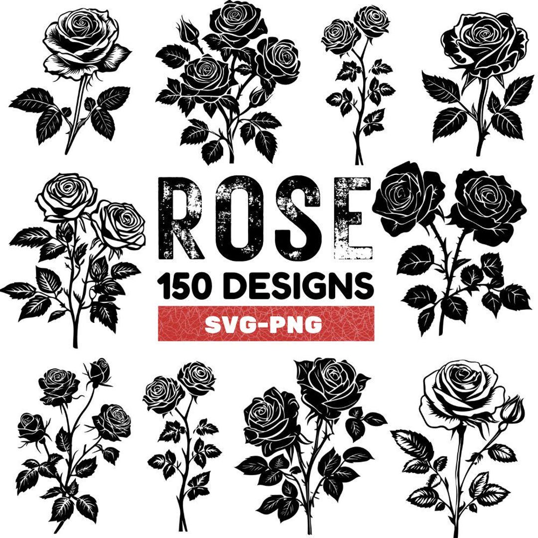 Rose SVG Bundle: 150 Floral PNG Designs, Botanical Vector Graphics ...