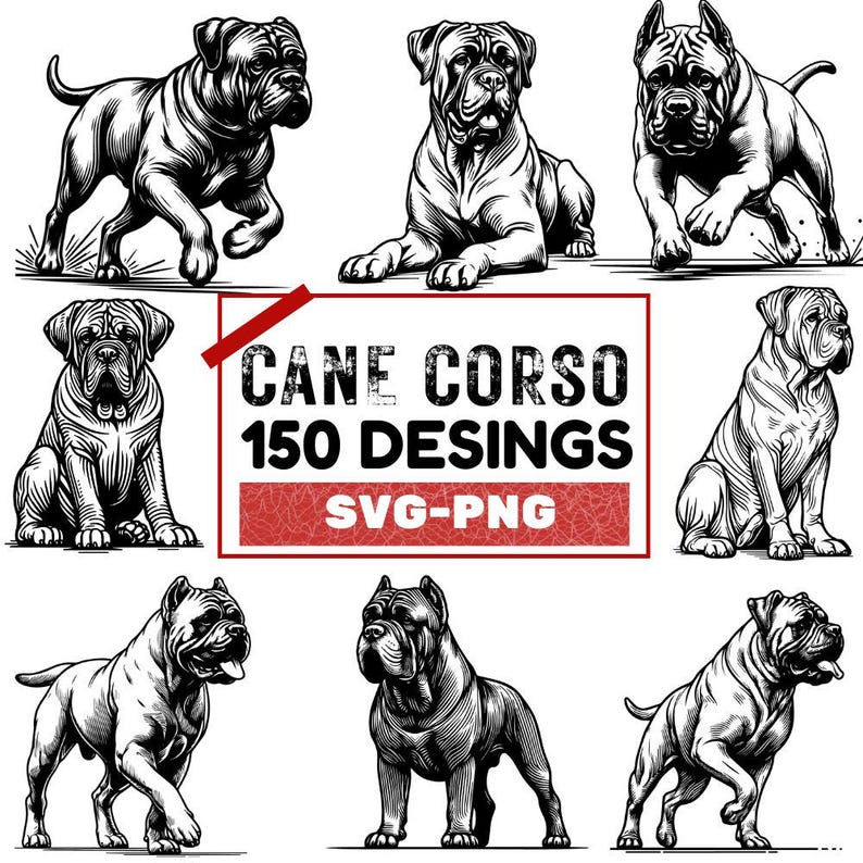 Cane Corso Designs Bundle | Majestic Cane Corso Clipart Collection ...