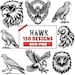 Hawk Designs Bundle: 150 Majestic Hawk Clipart (PNG SVG Files) - Etsy