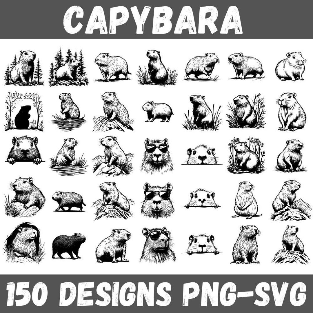 Capybara SVG PNG Bundle: 150 Rodent Clipart Designs (digital Download ...
