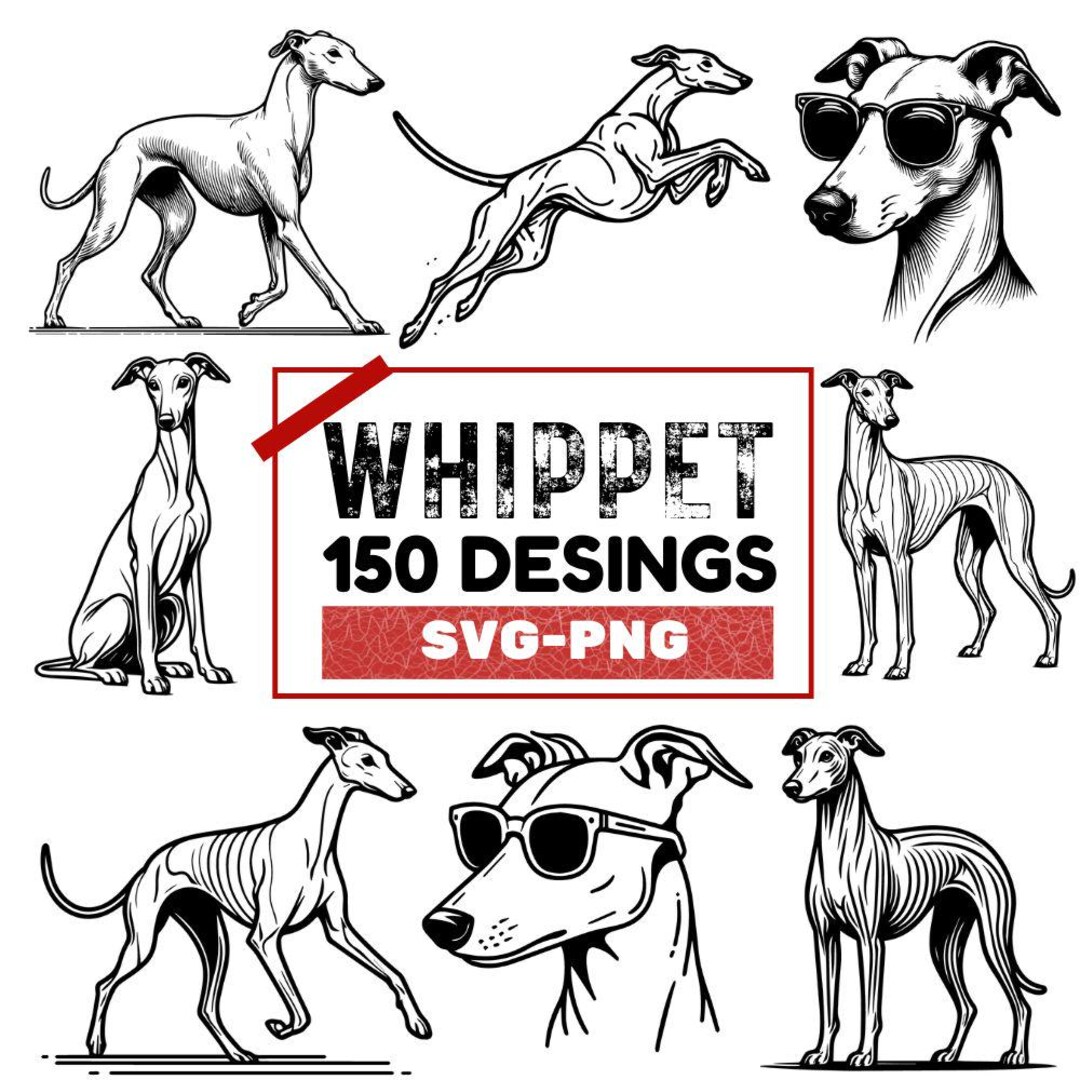 Whippet Designs Bundle | Elegant Whippet Clipart Collection | PNG SVG ...