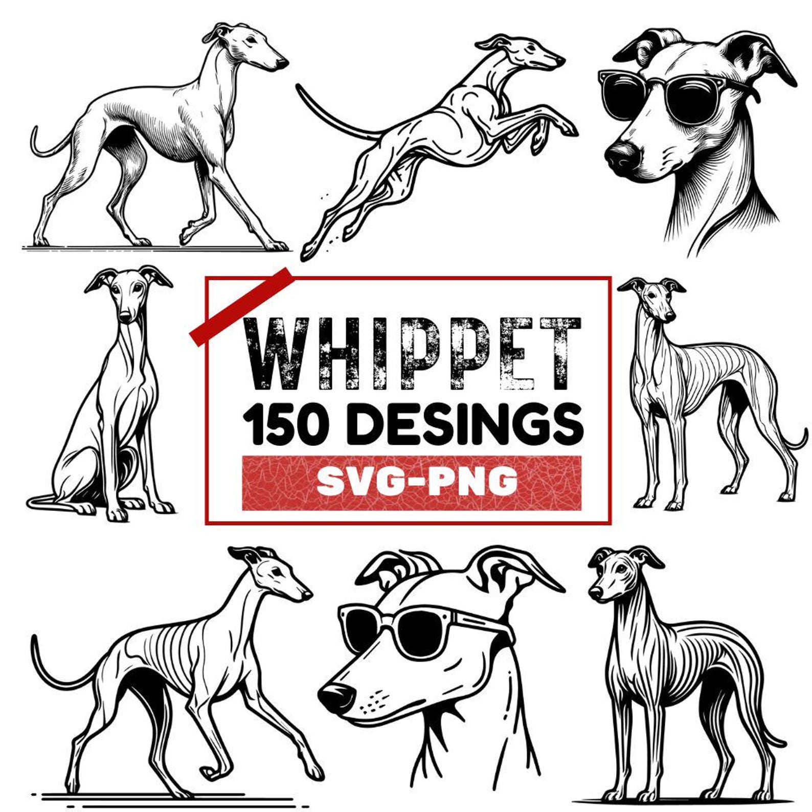 Whippet Designs Bundle | Elegant Whippet Clipart Collection | PNG SVG ...
