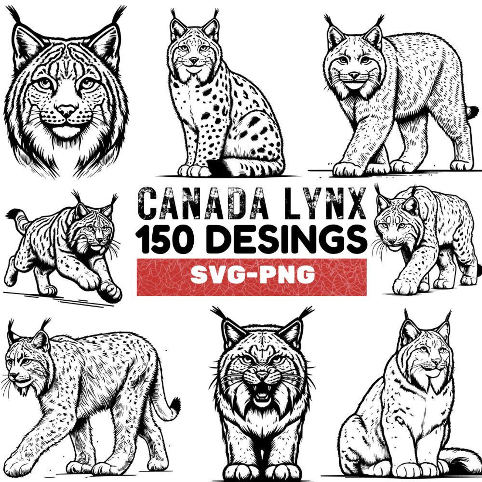 Canada Lynx Clipart Bundle: Wild Cat SVG PNG Designs - Etsy