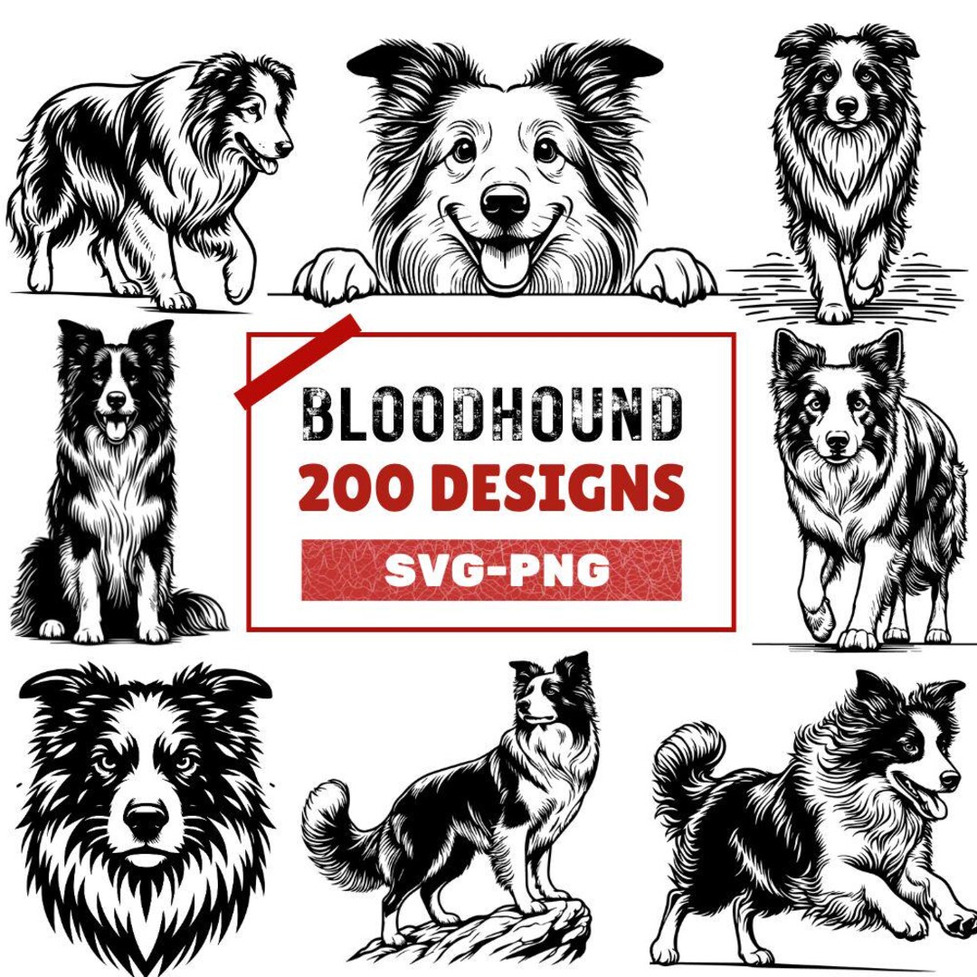 Border Collie Designs Bundle | Adorable Border Collie Clipart ...