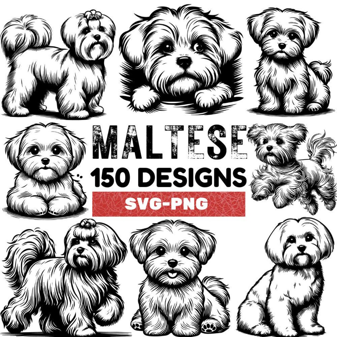 Maltese Dog SVG Bundle | 150 Cute Maltese Puppy Designs | Pet Clipart ...