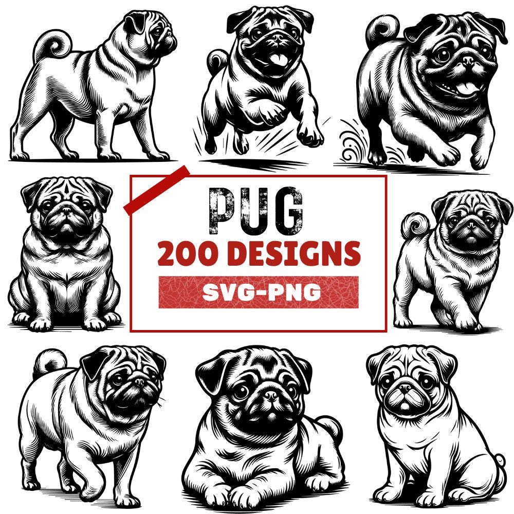 Pug Designs Bundle | Adorable Pug Clipart Collection | PNG SVG Files ...