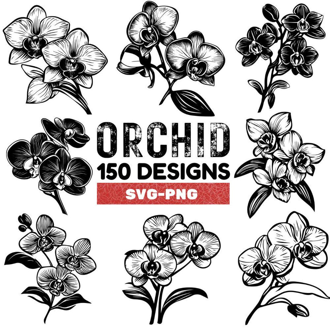 Orchid SVG Bundle, 150 Orchid Flower PNG Designs, Floral Clipart ...