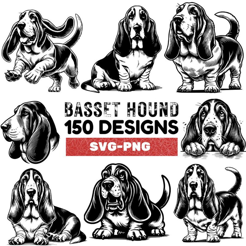 Basset Svg Bundle - Etsy