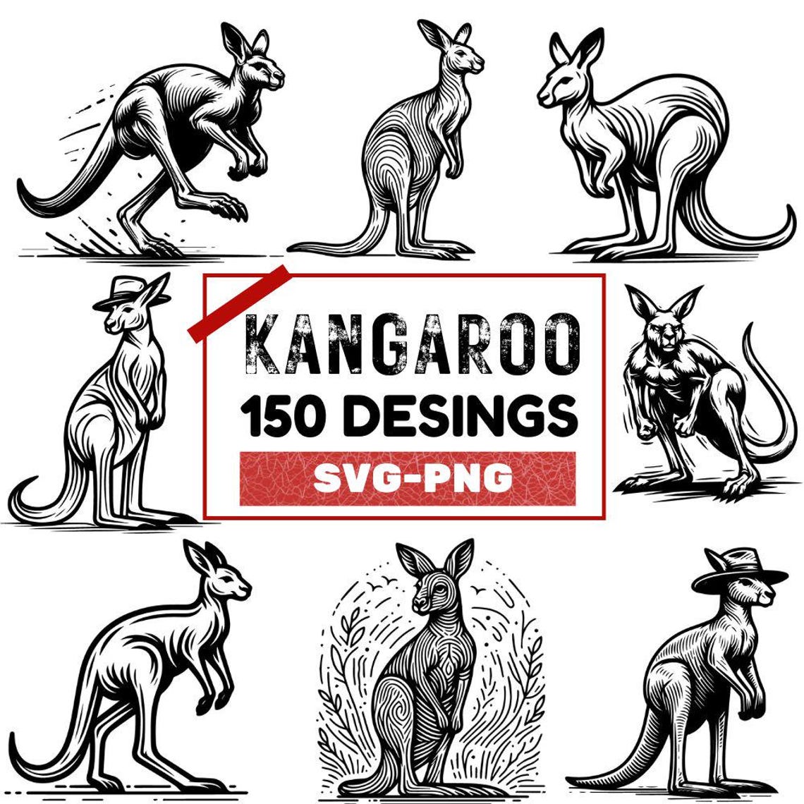 Kangaroo Design Bundle | Australian Wildlife SVG PNG Collection ...