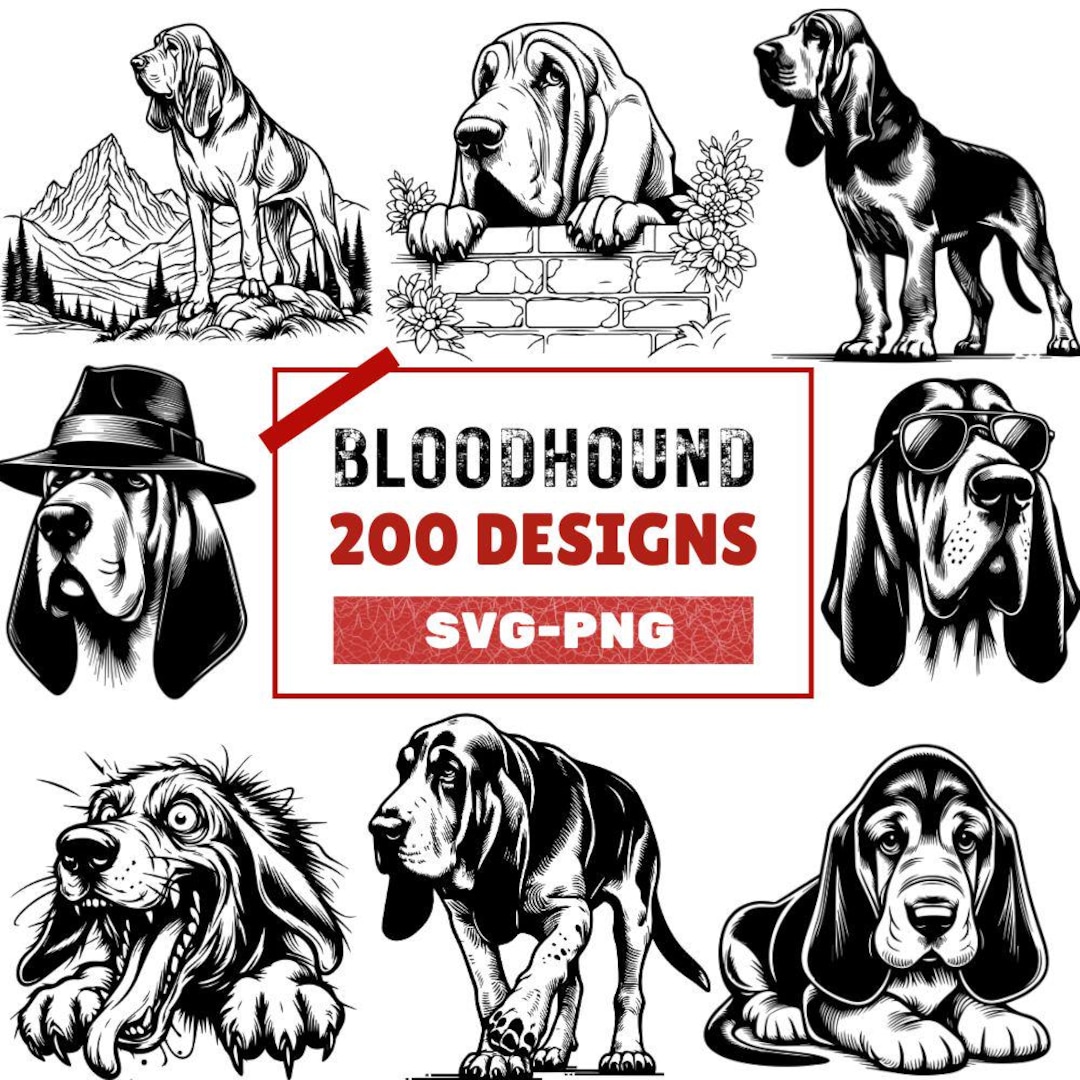 Bloodhound Designs Bundle | Majestic Bloodhound Clipart Collection ...