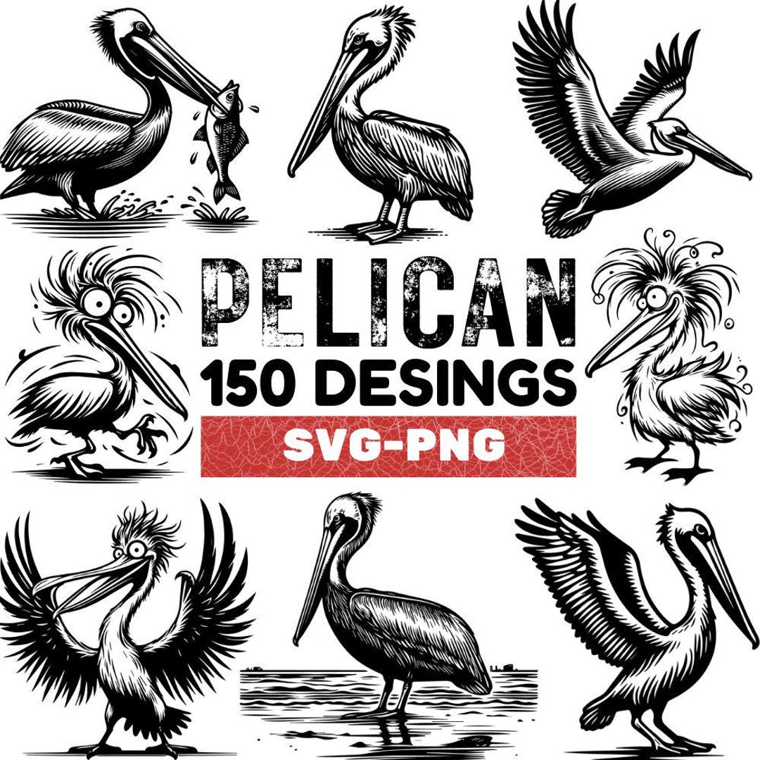 Pelican SVG PNG Design Bundle: 150 Coastal Clipart Illustrations - Etsy