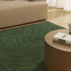 Modern Green Carpet Tufted Rug, Premium Handmade Tufted Rugs, 100% ...
