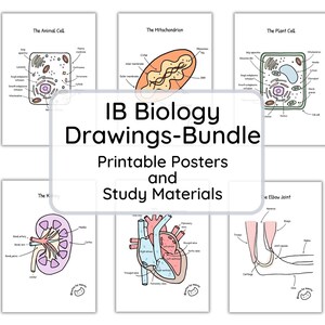 Printable IB Biology Posters Bundle, Biology Classroom Posters, the ...