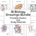 Printable IB Biology Posters Bundle, Biology Classroom Posters, the ...