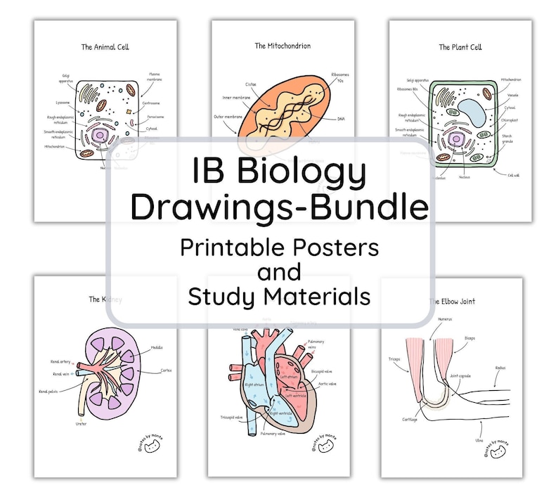 Printable IB Biology Posters Bundle, Biology Classroom Posters, the ...