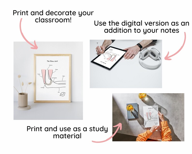 Elbow Joint Anatomy Poster, Printable IB Biology Poster, Biology ...
