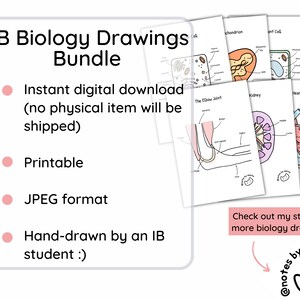Printable IB Biology Posters Bundle, Biology Classroom Posters, the ...