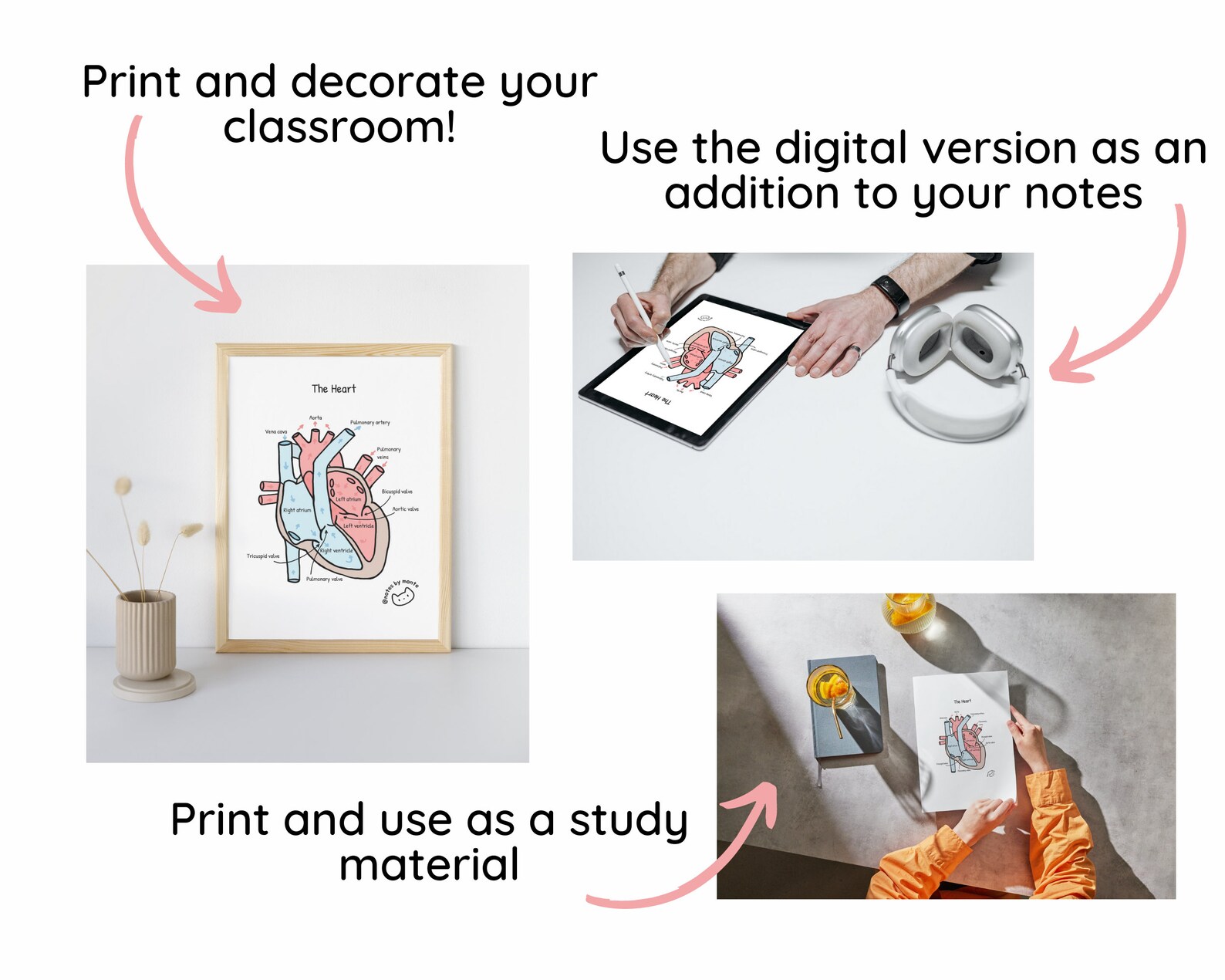 Human Heart Anatomy Poster, Printable IB Biology Poster, Cardiovascular ...