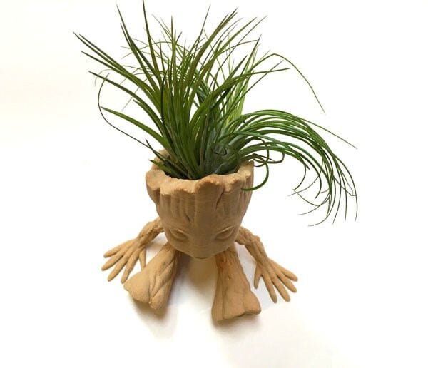 Cute Baby Groot Sitting 3D Printed Succulents and Cactus - Etsy
