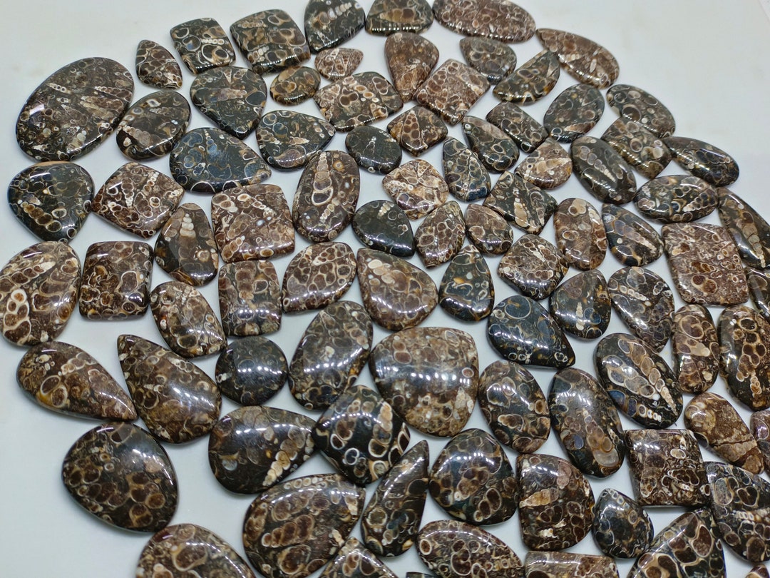 Wholesale Lot of Turritella Agate Cabochon, Mix Shape Turritella Agate ...
