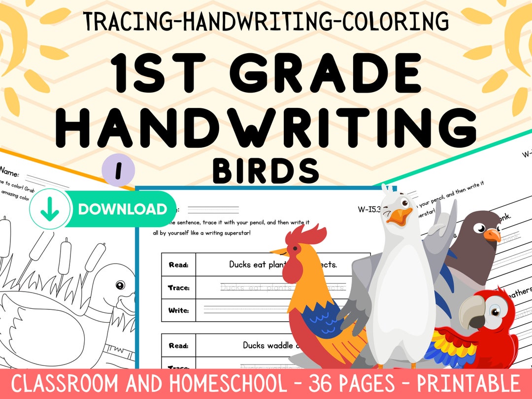 1st Grade Handwriting Exercises With Sentences and Coloring Pages ...