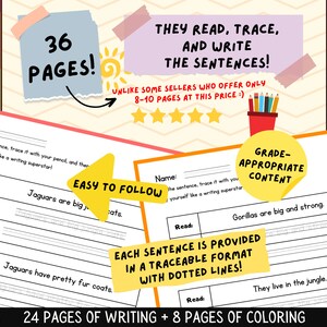 Rainforest Animals Handwriting Exercises With Sentences and Coloring ...