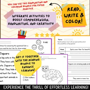 Rainforest Animals Handwriting Exercises With Sentences and Coloring ...