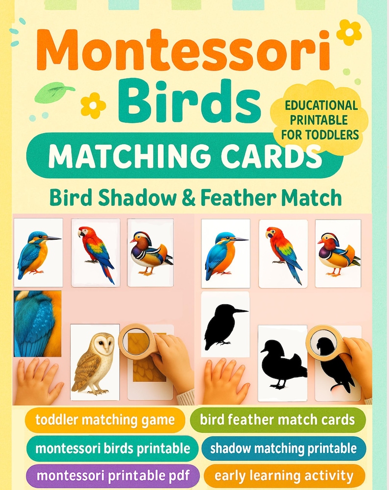 Montessori Birds Matching Cards | Bird Shadow & Feather Match ...