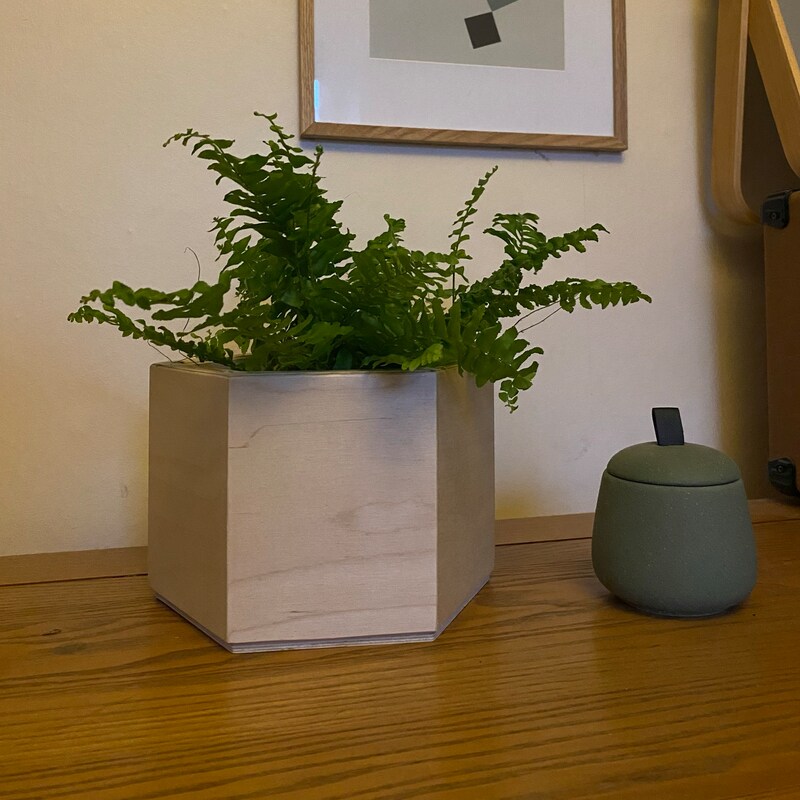 Hexagon Plant Pot - Etsy UK