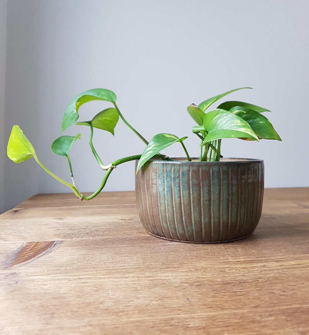 HAZEL Stoneware Plant Pot, Indoor Ceramic Planter, Natural Carved Pot ...