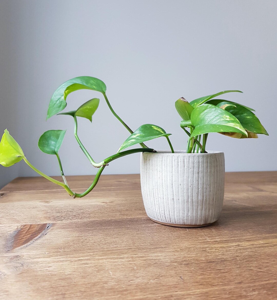 Small Textured Plant Pot, Handmade Ceramic Planter, Hand Made Cream ...