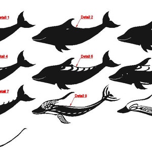 3d Dolphin Layered Design Dxf, Svg Files, CNC Laser Cutting, Laser Cut ...