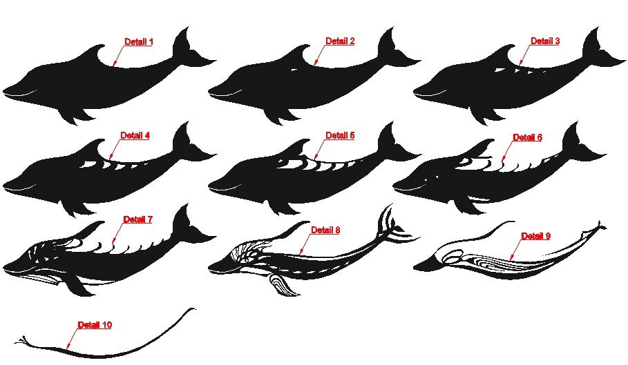 3d Dolphin Layered Design Dxf Svg Files CNC Laser Cutting - Etsy