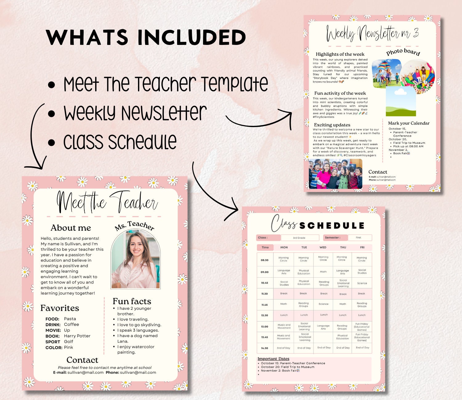 Daisies Meet the Teacher Template Editable Classroom Organization ...