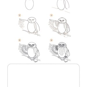 Learn How to Draw Kindle Scribe Template Kindle Creativity Kindle ...