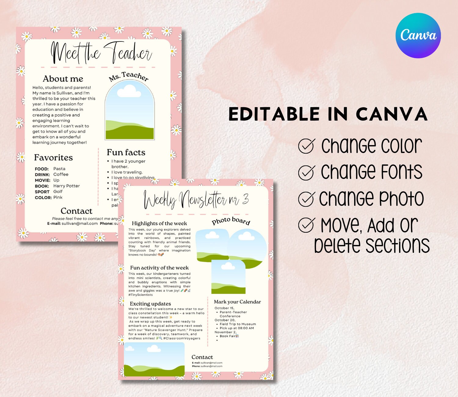 Daisies Meet the Teacher Template Editable Classroom Organization ...