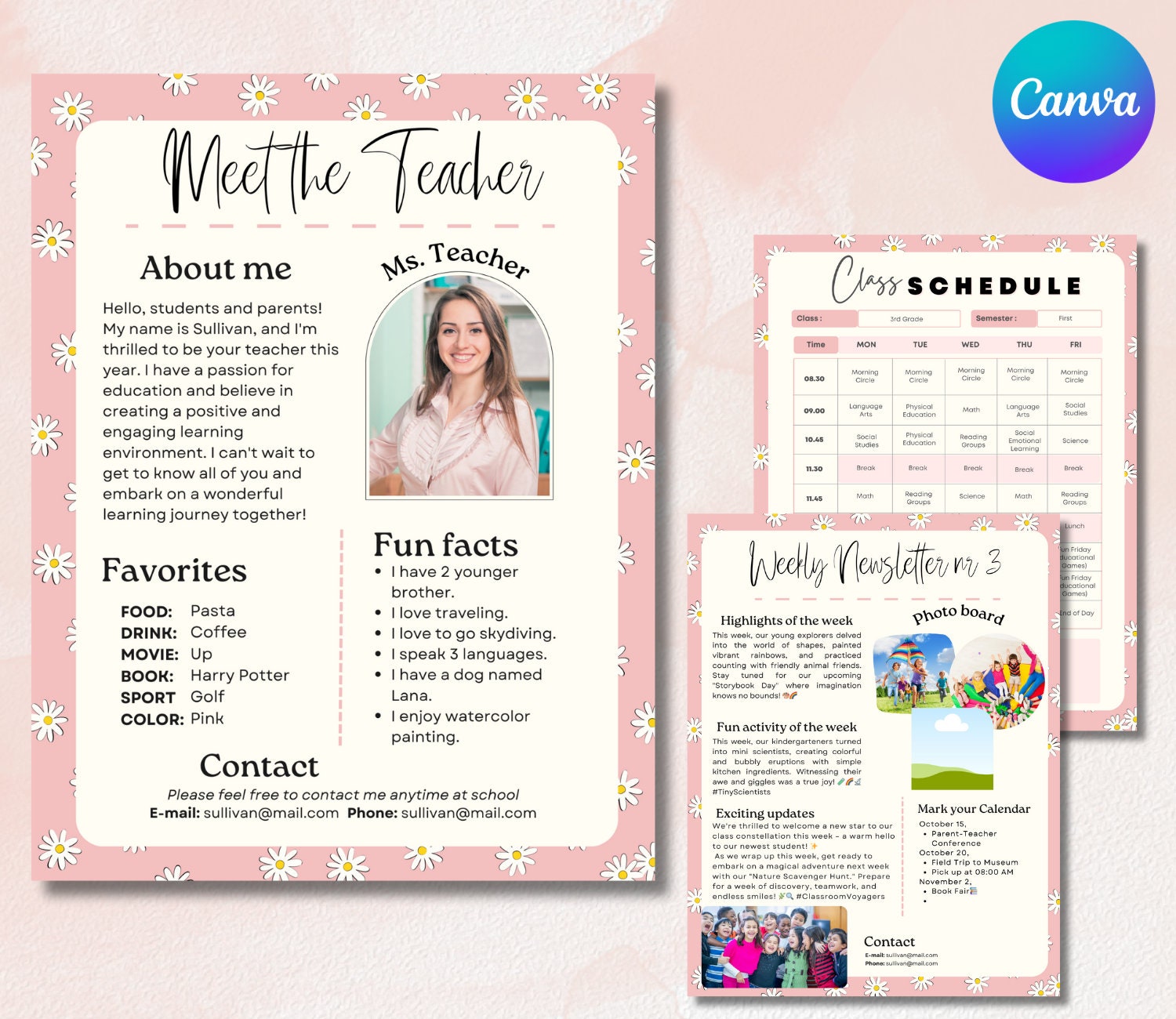 Daisies Meet the Teacher Template Editable Classroom Organization ...