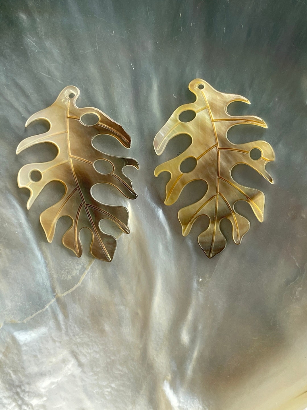 1 Pair of Hand Carving Black Tahiti MOP Monstera Tahitian - Etsy Australia