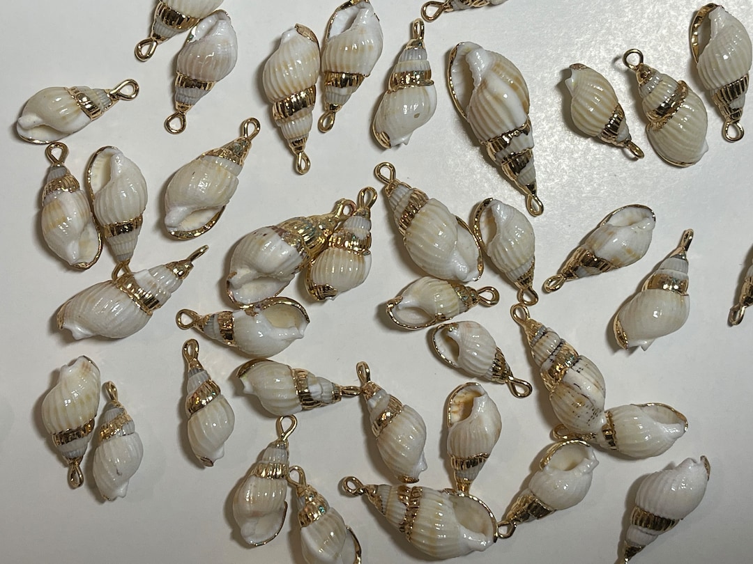 10 Pcs Natural Conch Shell Pendants, Sea Shell Charms With Plated Gold ...