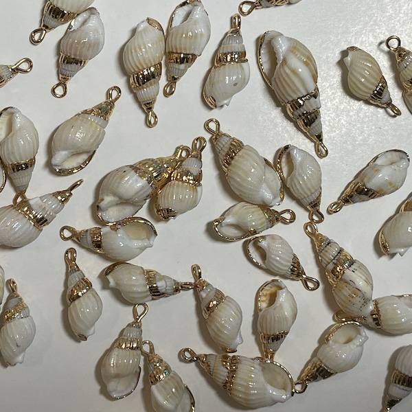 Shell Charms - Etsy