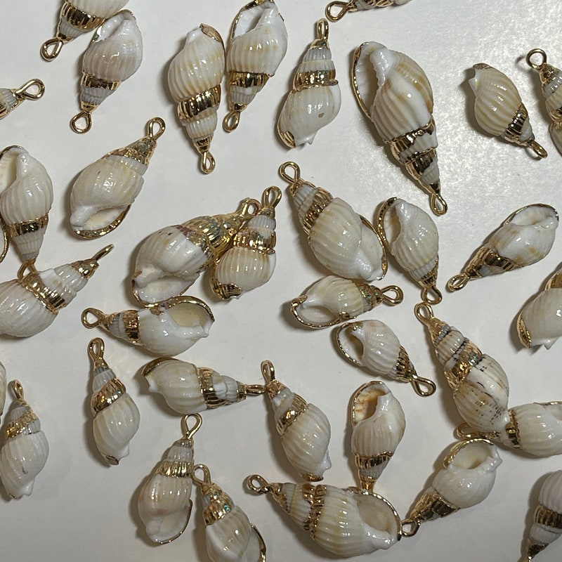 Shell Charms - Etsy