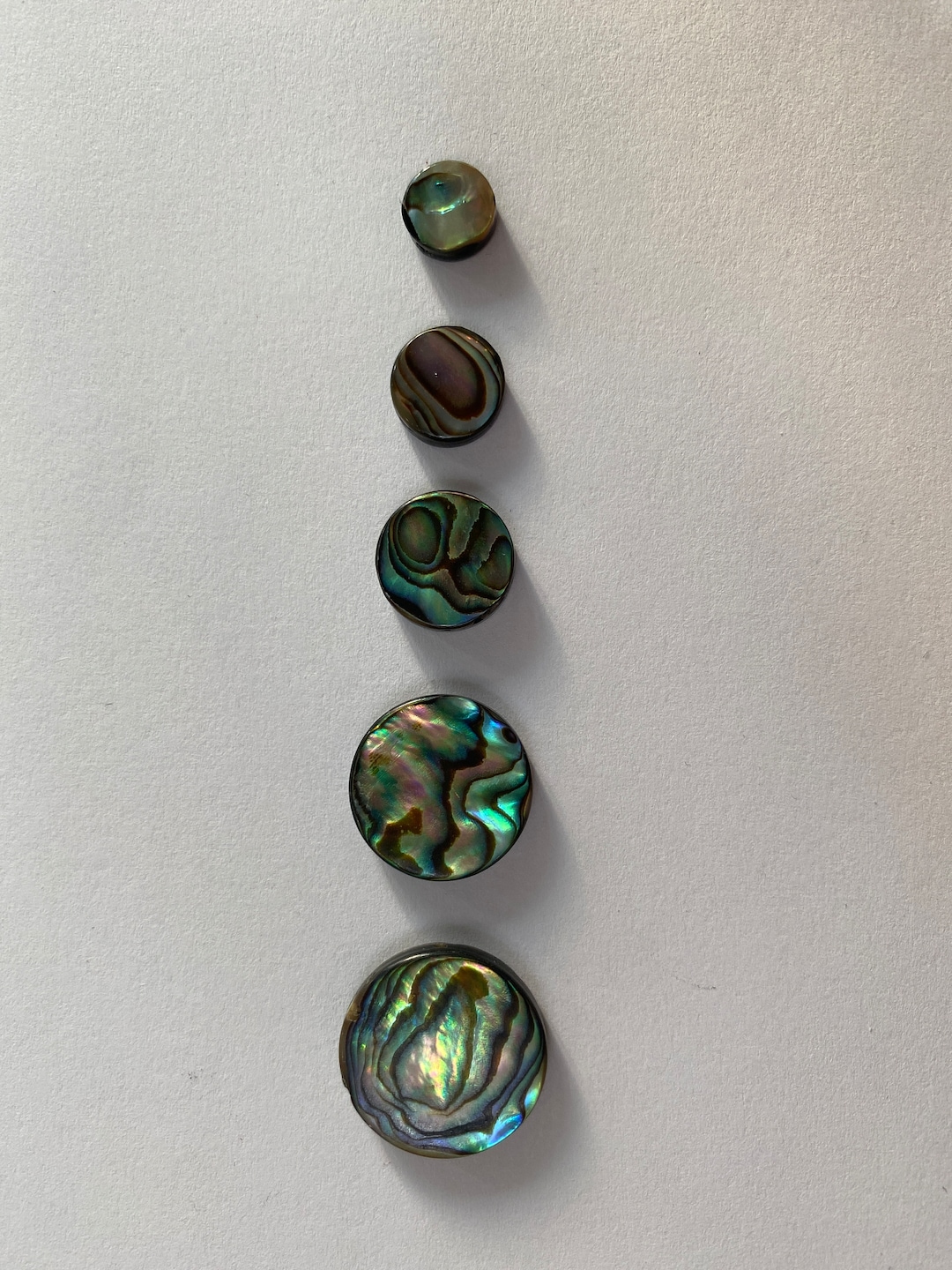 10 Pcs Abalone Coin Beads, Paua Coin Shape Beads,jewelry Making Beads ...