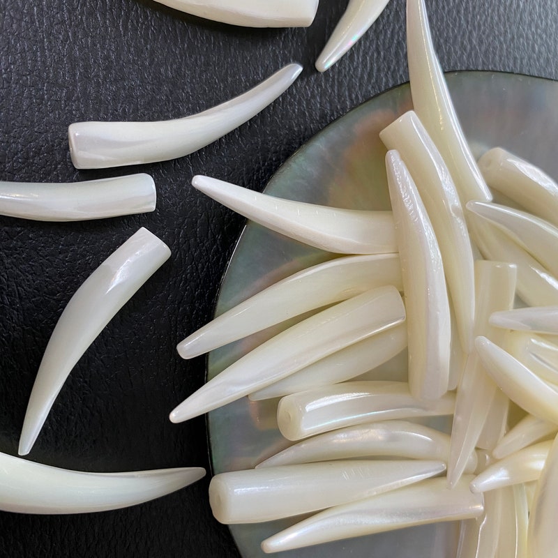 Wild Boar Tusk Jewellery - Etsy UK