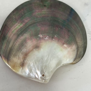 AAA, 3.5inch / 9cm+, Gold / Black Mother of Pearl Shell Natural Cut ...