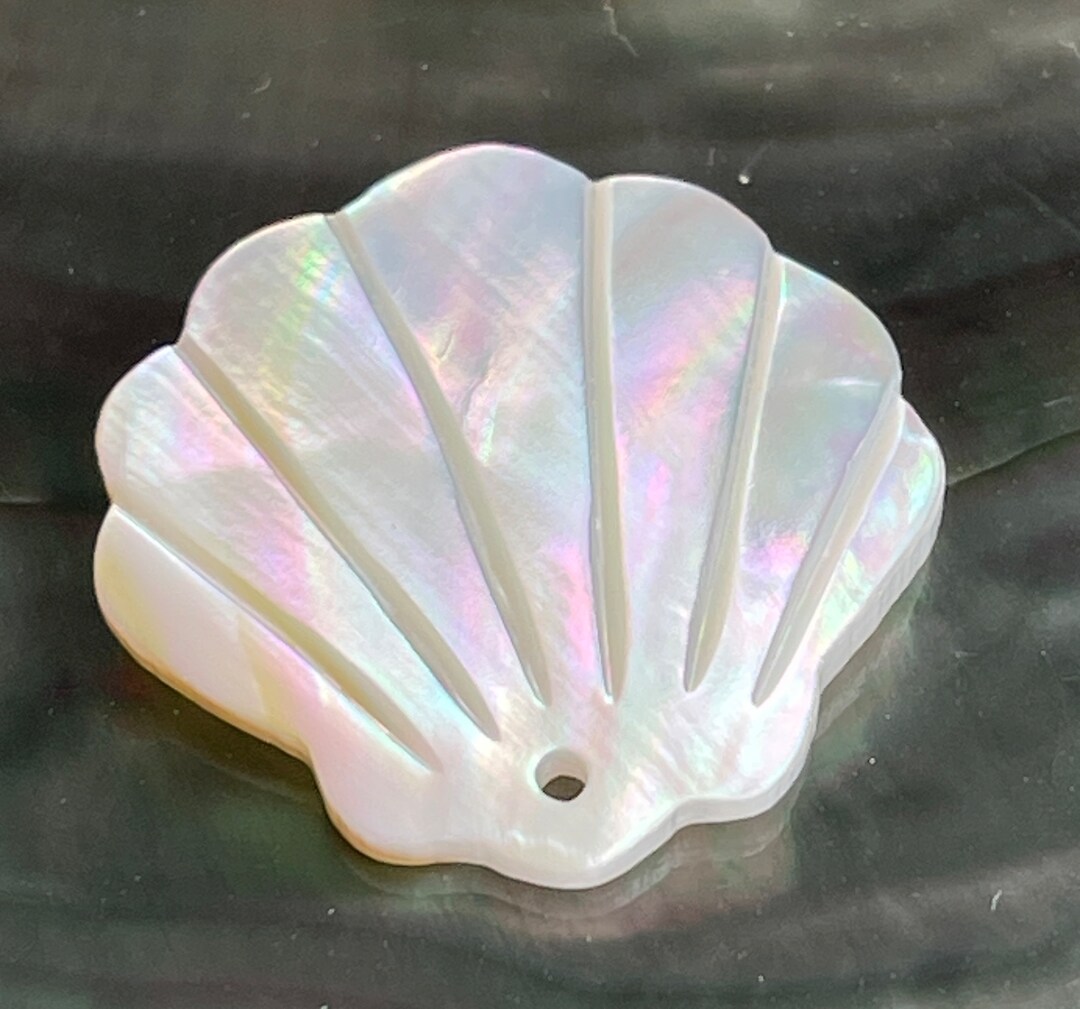5 Pieces Hand Carved MOP Sunrise Seashell Pendant / Charm, Mother of ...