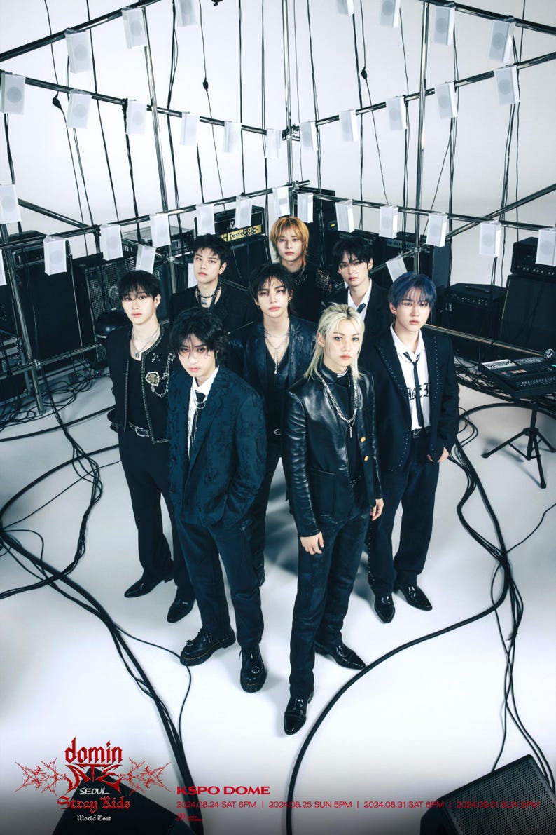 Stray Kids Dominate Tour - Etsy