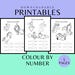 Unicorn Color by Number Worksheets: Printable Learning Activity (PDF ...