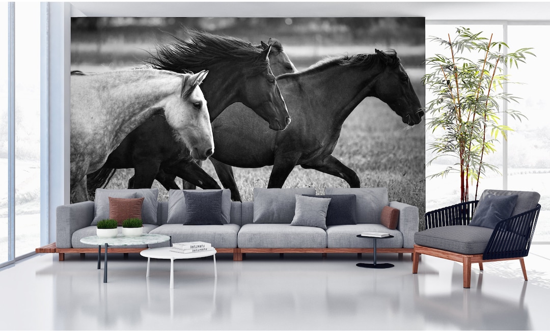 Horses Black and White Wall Mural Wall Mural Peel and Stick Mural ...