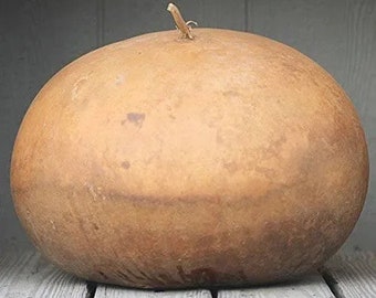 VGH ZUCCA Gourdseeds make Your Own African - Etsy