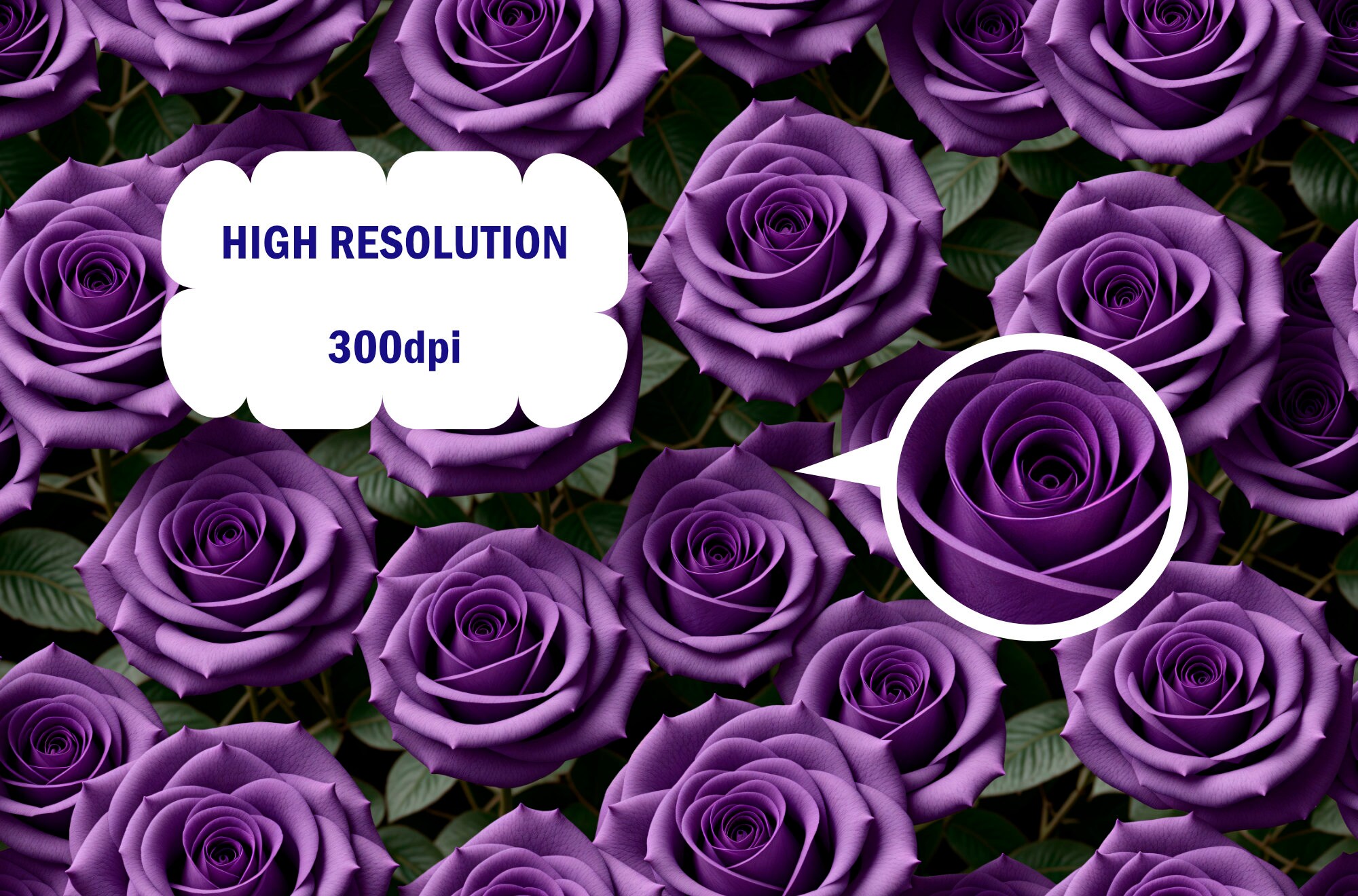 Violet Roses Wrapper, Realistic Floral Design, Sublimation for Straight ...